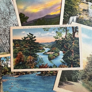 Set of Vintage Landscape Postcards, Nature Postcards, Outdoor Postcards ...