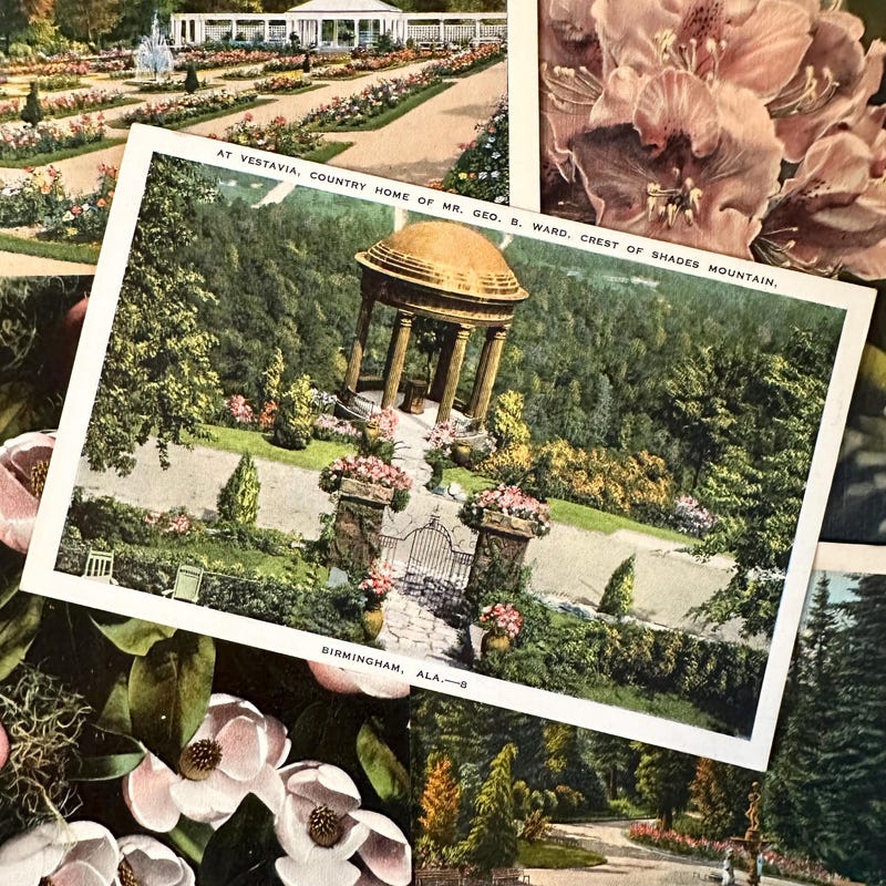 Wildflower Postcard Set - Etsy