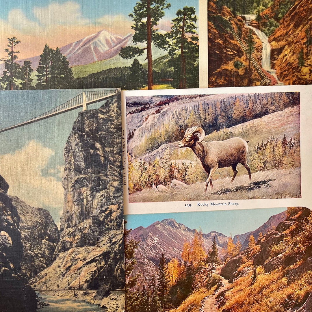 Set of Vintage COLORADO Postcards, Colorado Postcard, Nature Postcards ...
