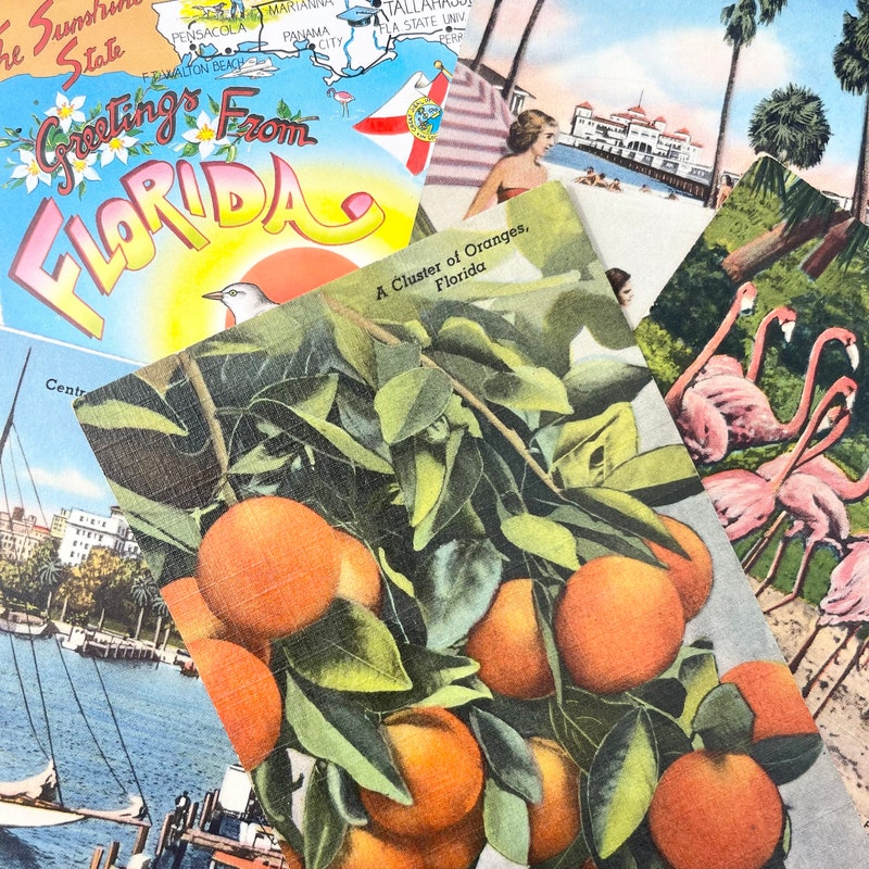 Palm Beach Vintage Postcard - Etsy