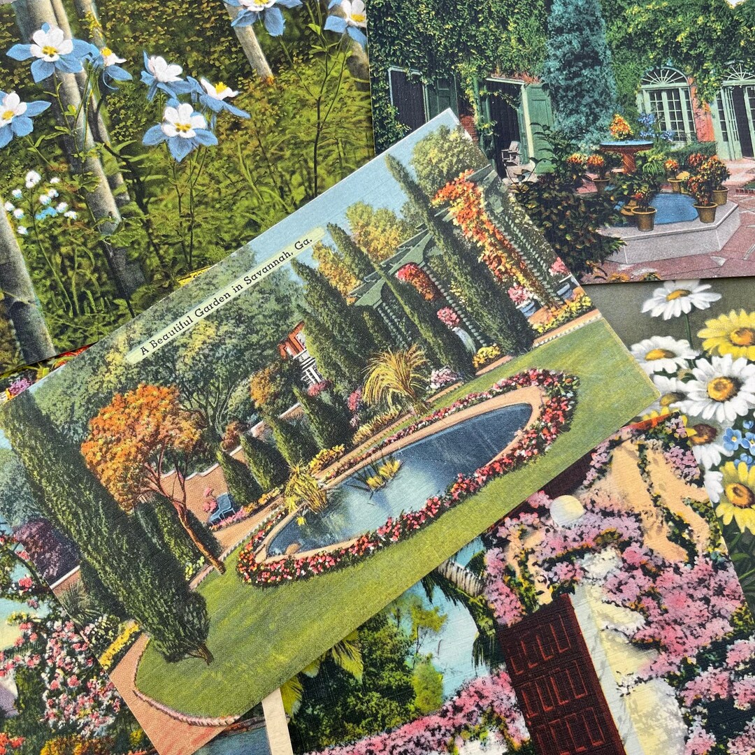 Vintage Garden Scene Postcard Set: Floral Courtyards, Wildflowers ...