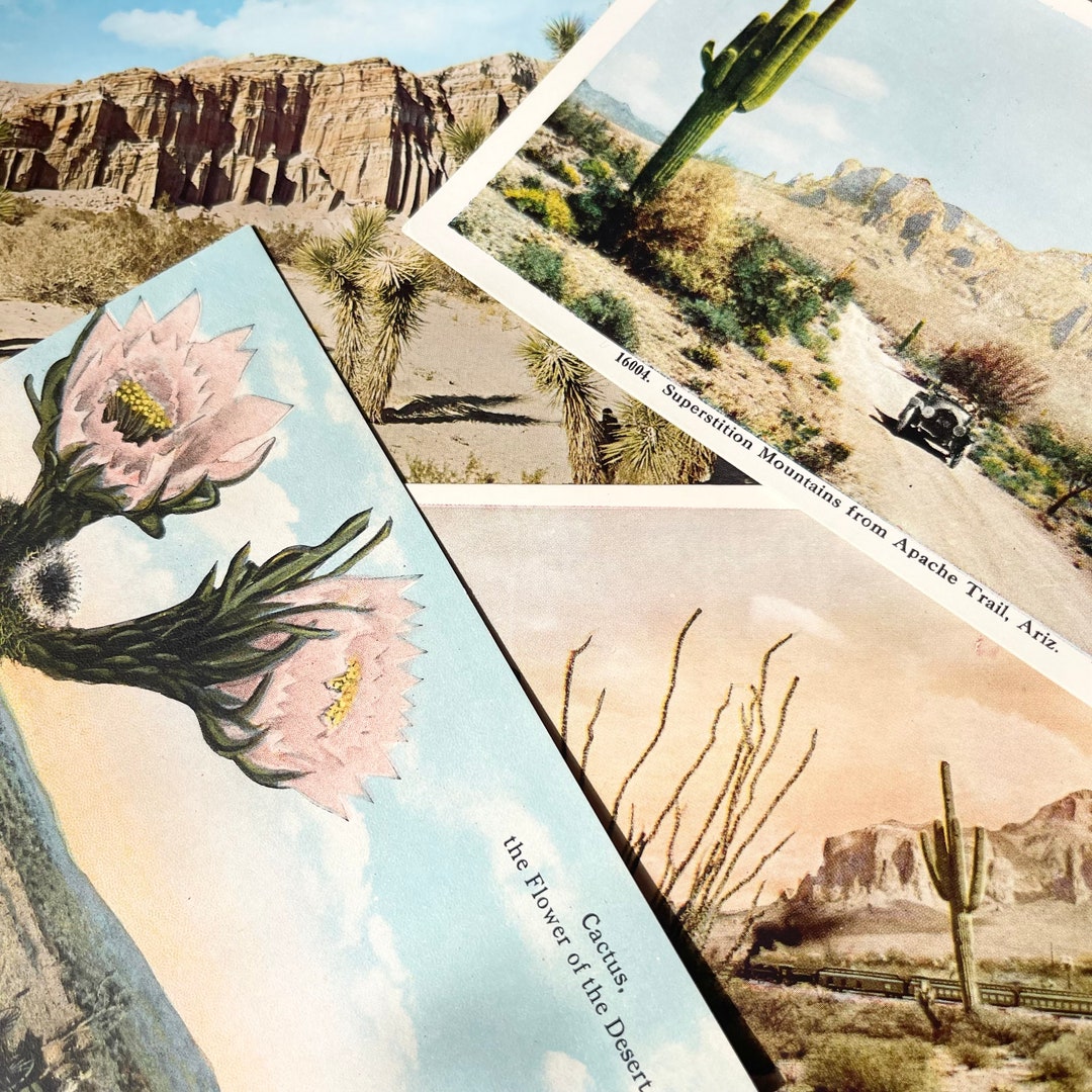 Vintage Southwest Postcard Sets, Desert/cactus/canyons Landscapes and ...