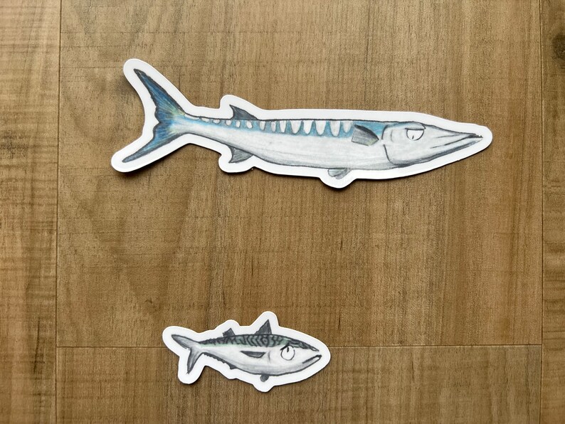Barracuda Sticker - Etsy
