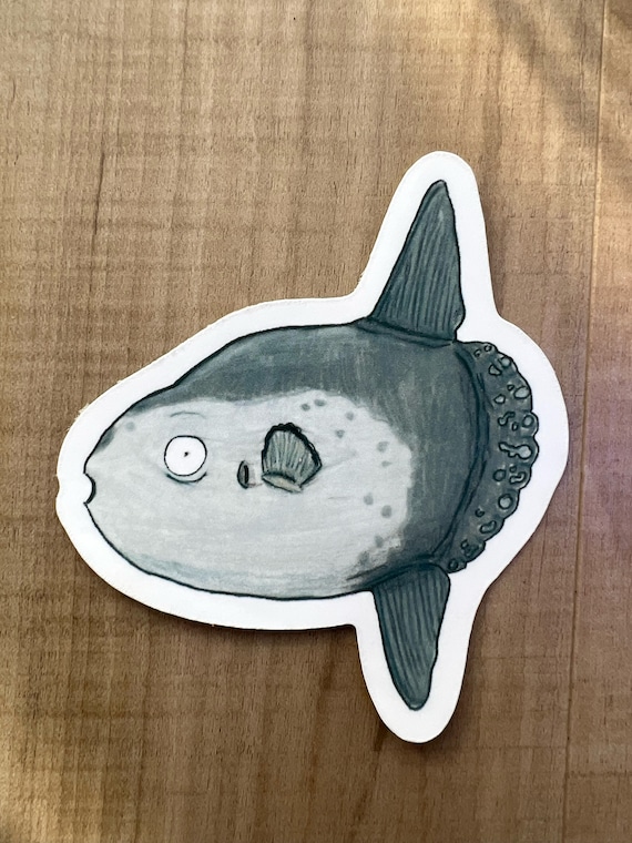 Mola Mola Sticker - Etsy