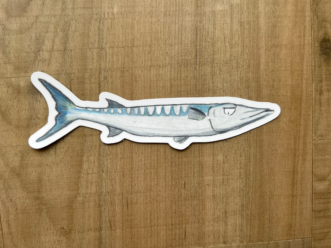 Barracuda Sticker - Etsy
