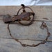 Antique Fox Trap From the 1940s, Animal Trap - Etsy UK
