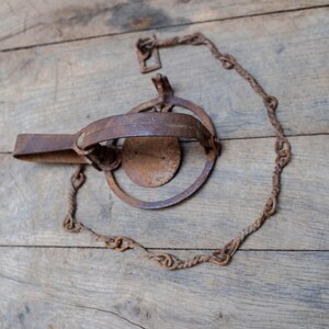 Antique Fox Trap From the 1940s, Animal Trap - Etsy UK