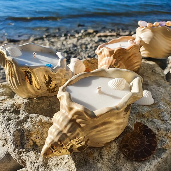 Sea Shell Candle - Etsy
