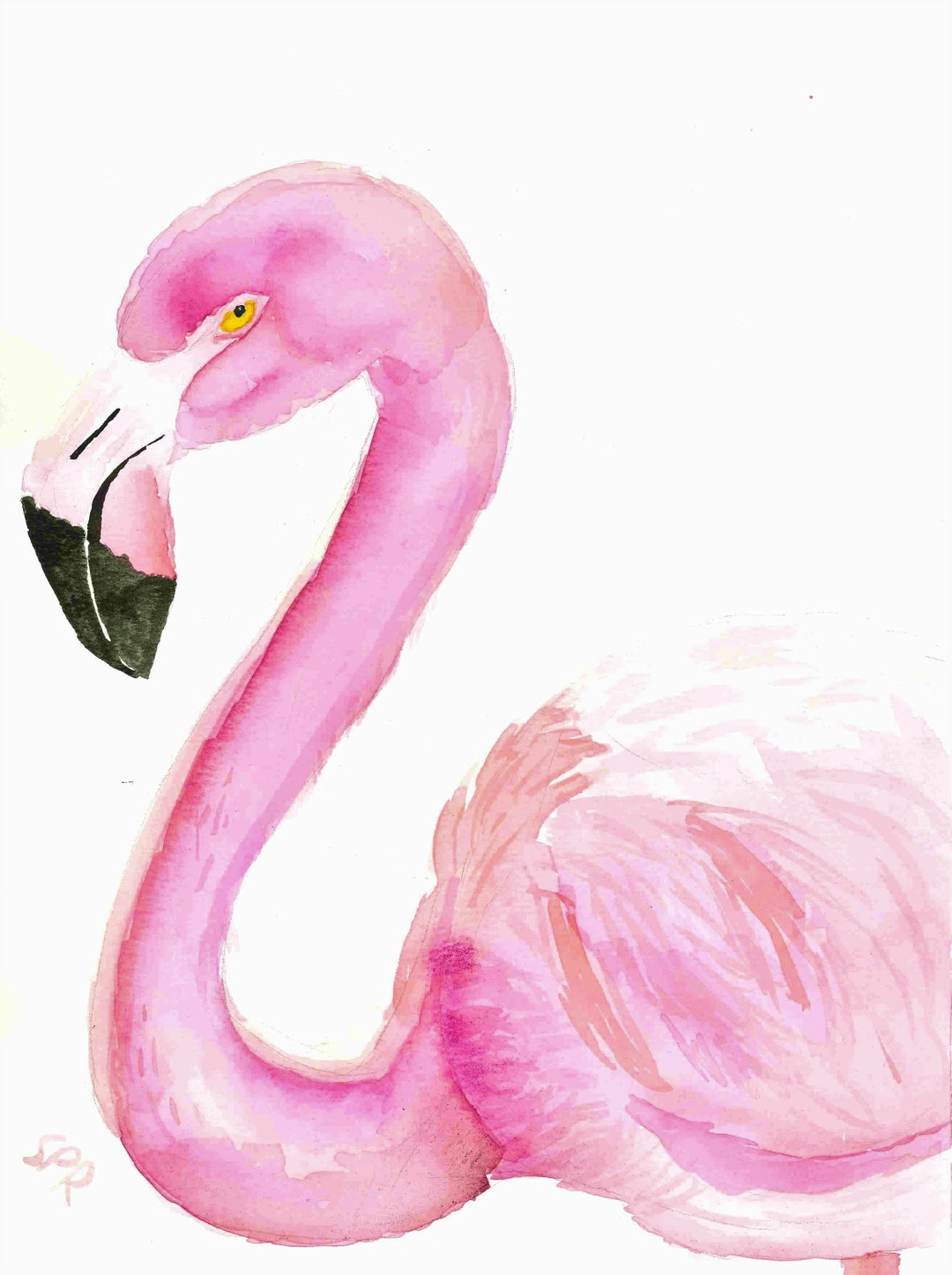 Watercolor Flamingo Print - Etsy