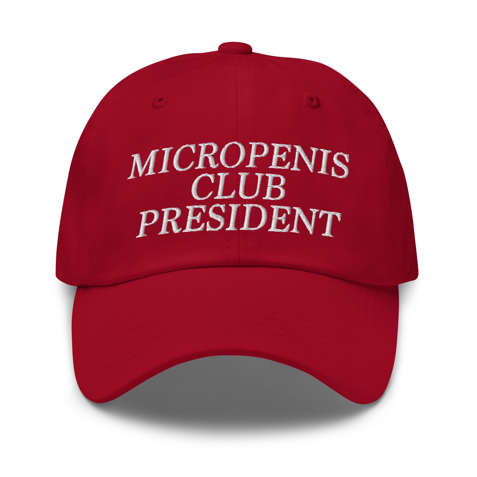 Micropenis Club President Embroidered Dad Hat: Adult Humor Meme - Etsy