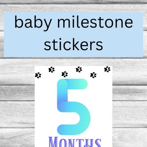 Baby Milestone Blue With Paw Pint Border Stickers - Etsy