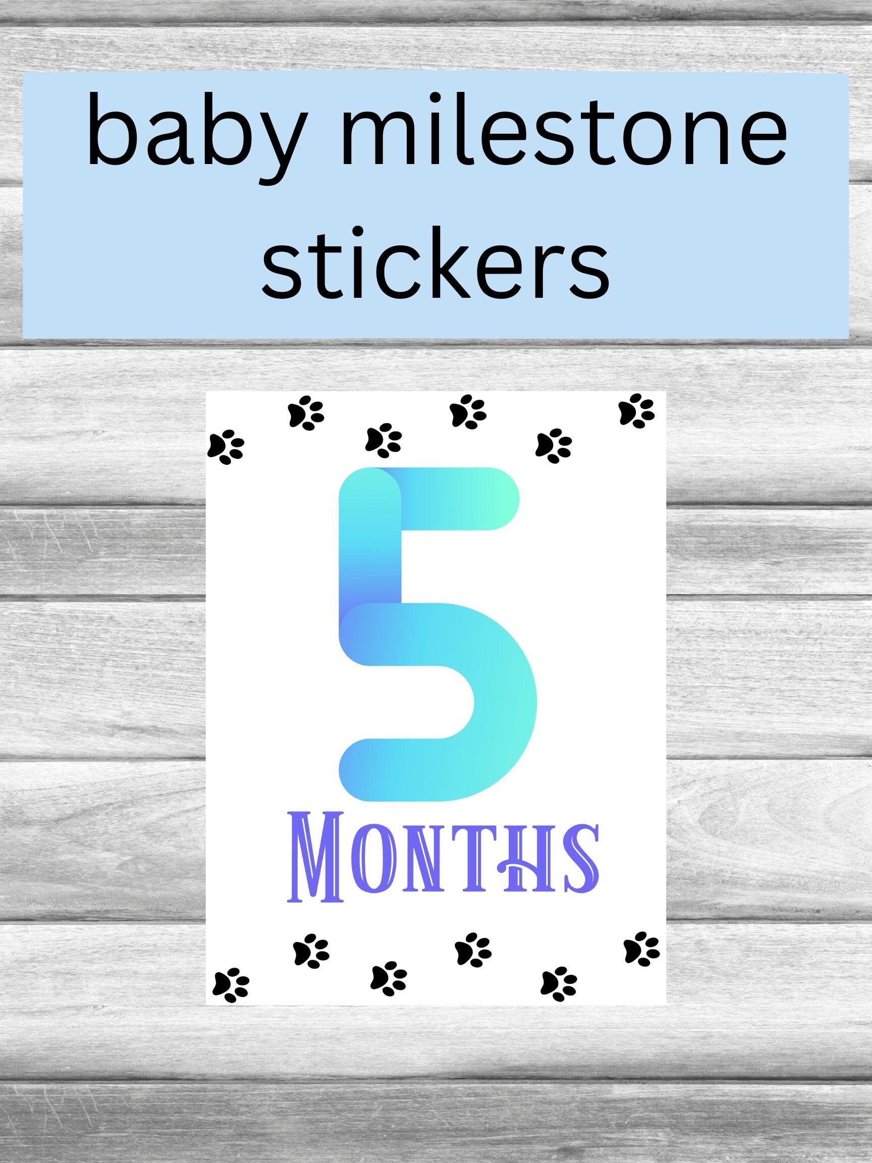 Baby Milestone Blue With Paw Pint Border Stickers - Etsy