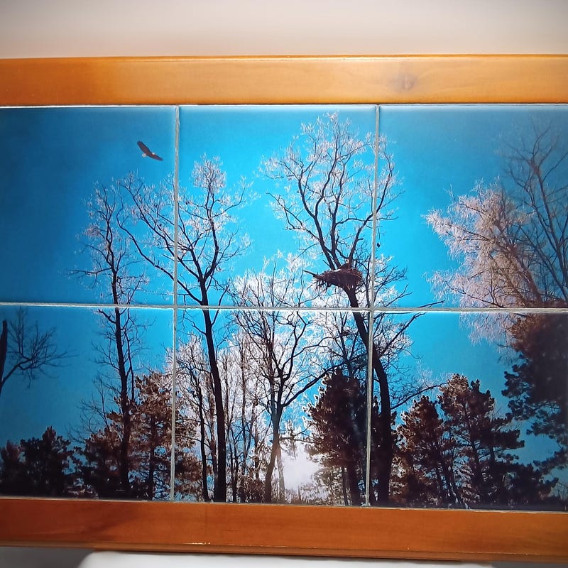 Tile Mural Store - Etsy