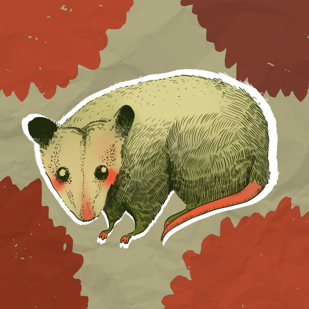 Tlacuache / Possum Cute Vinyl Sticker 3" - Etsy
