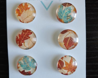 Fall Leaf Magnets, Fall Leaves, Oak Leaf, Maple Leaf, Fall Colors ...
