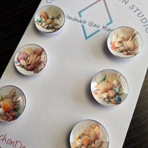Seashell Magnets, Bookmark, Necklace, Glass, Cabochon, Fridge Magnets ...