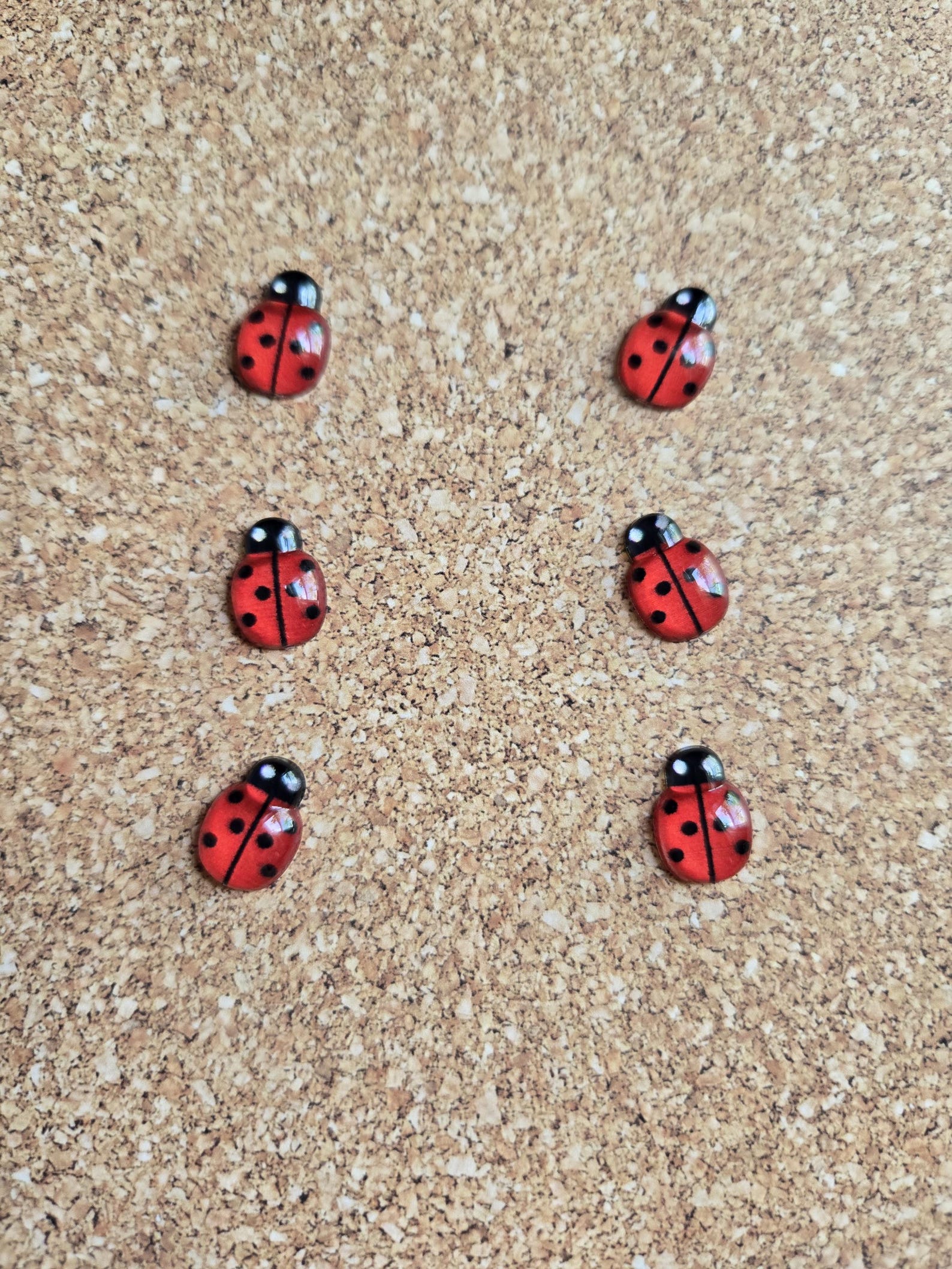 Set of 6 Resin Ladybug Thumbtacks, Pushpin, Decorative, Corkboard ...