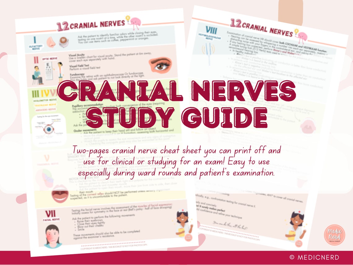 Cranial Nerves Assessment Guide Study Sheet Nursing Student Nursing ...