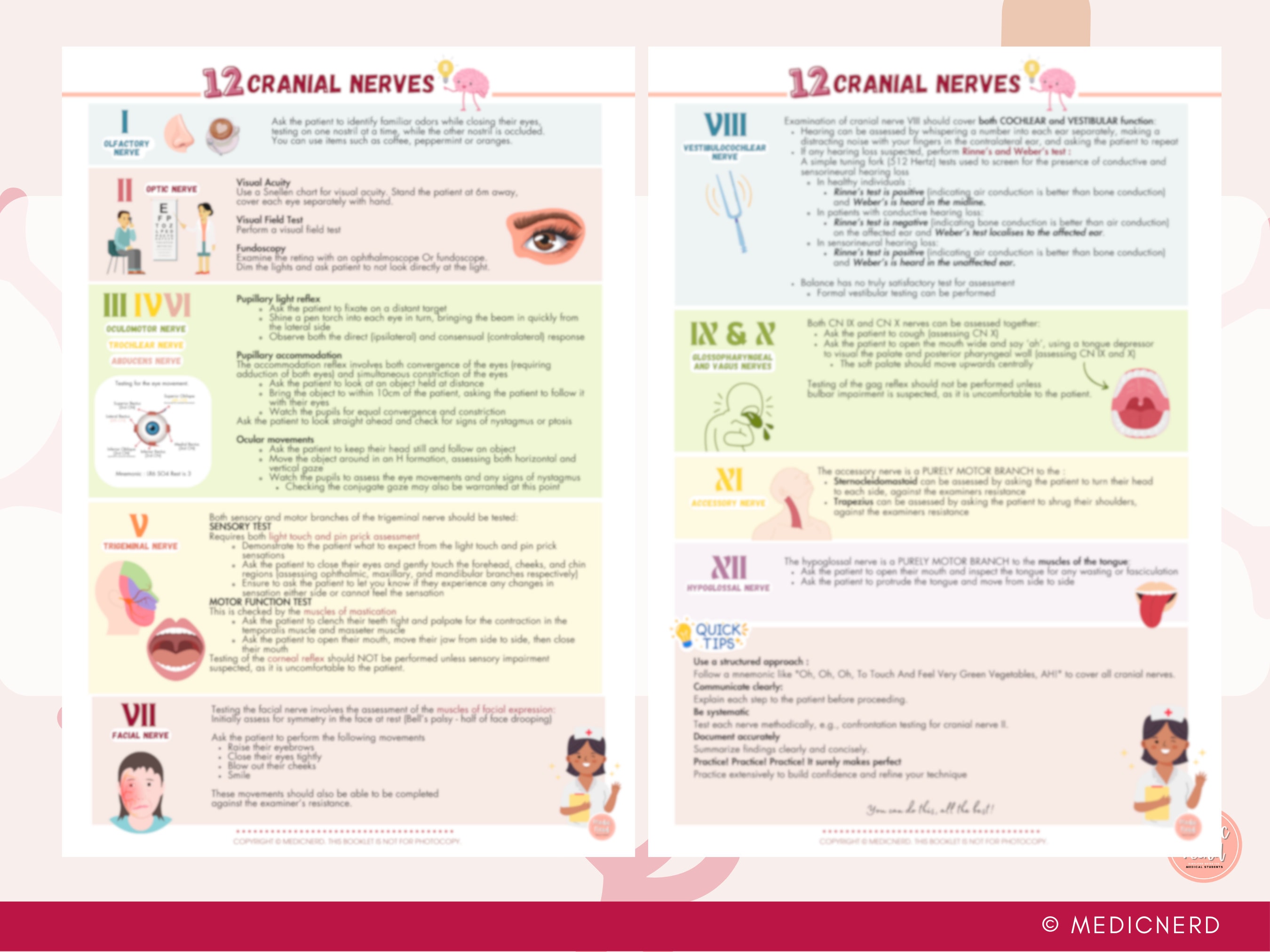 Cranial Nerves Assessment Guide Study Sheet Nursing Student Nursing ...