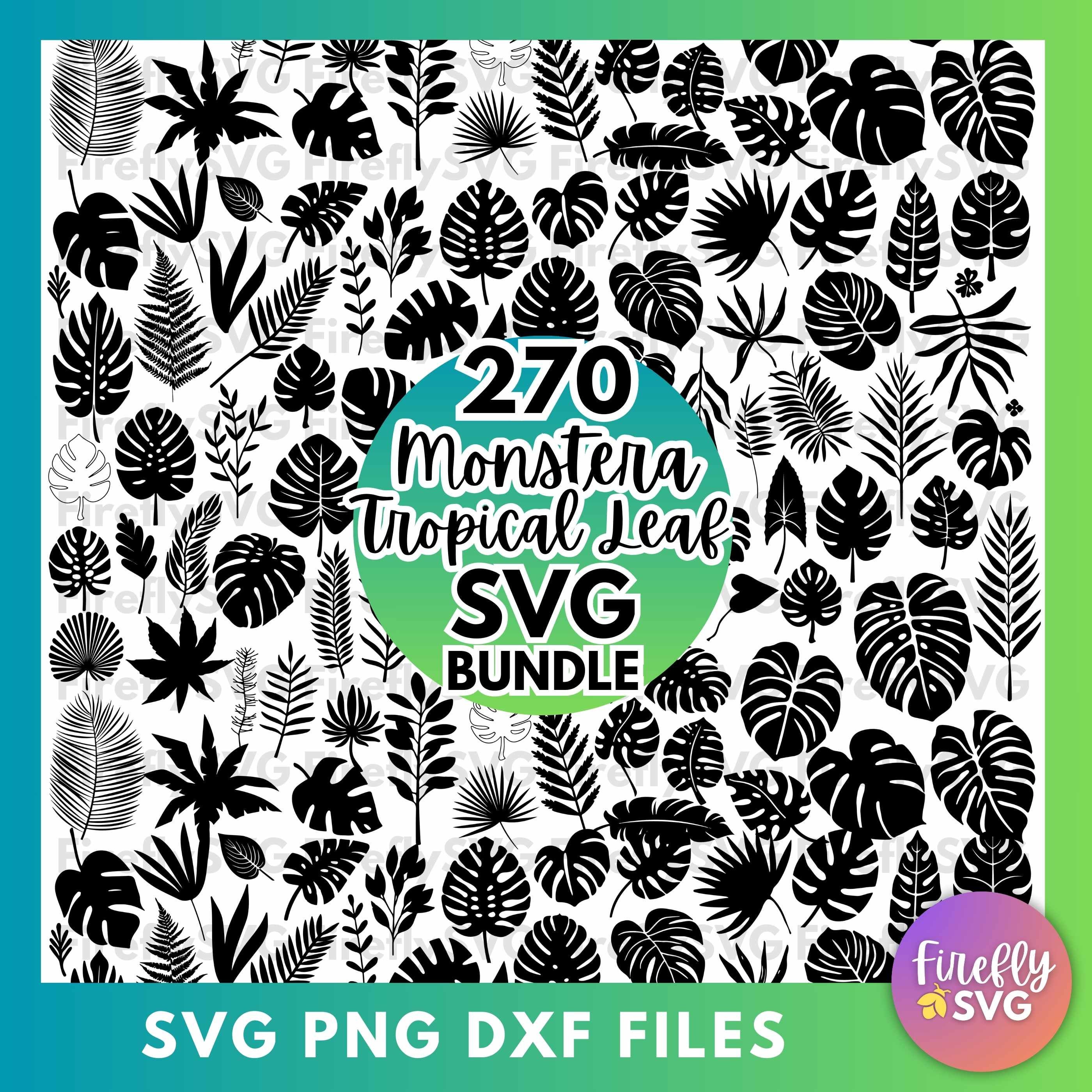 270 Monstera SVG Bundle Tropical Leaf Vector Tropical Leaf Silhouette ...