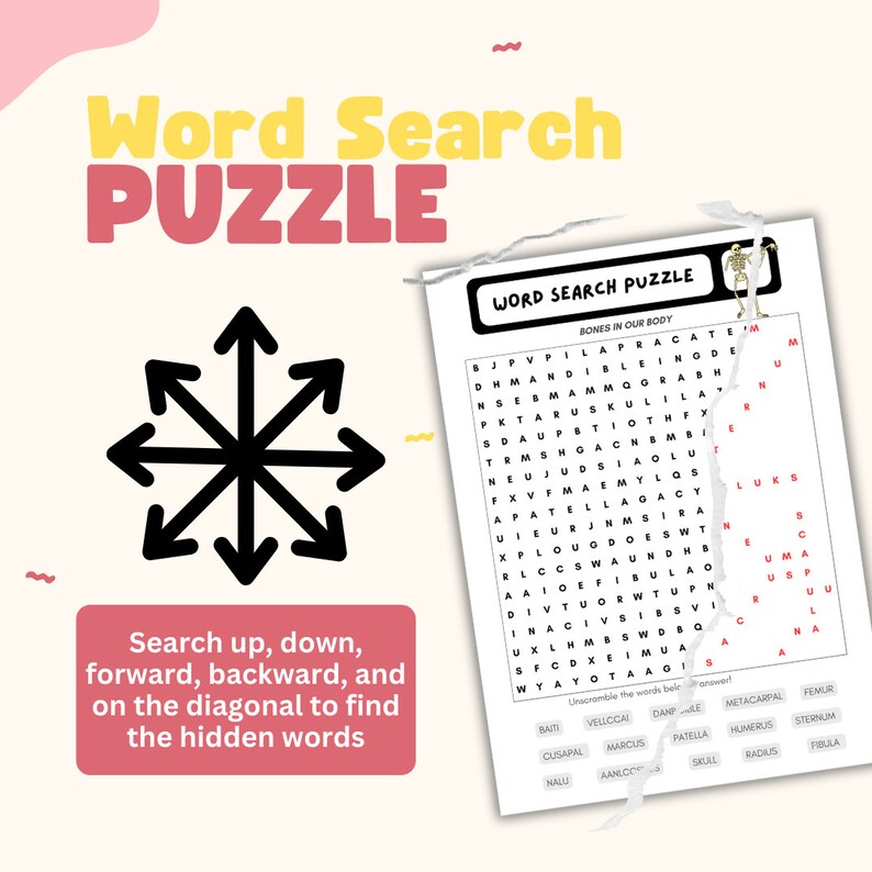 Printable Human Bones Word Search Puzzle | Bones in Our Body ...