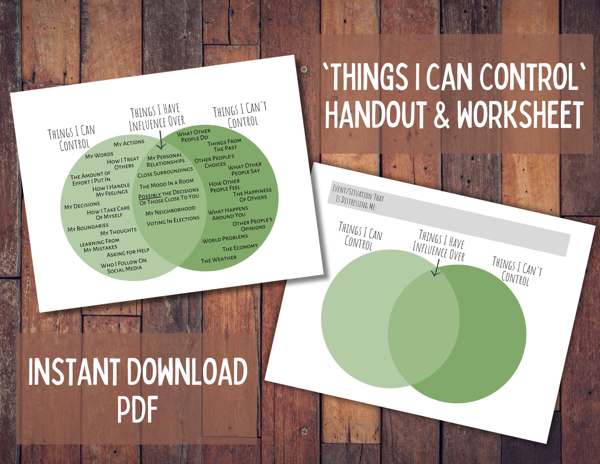 Circle of Control Handout & Worksheet, Mental Health, Therapy ...