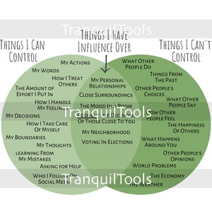 Circle of Control Handout & Worksheet, Mental Health, Therapy ...