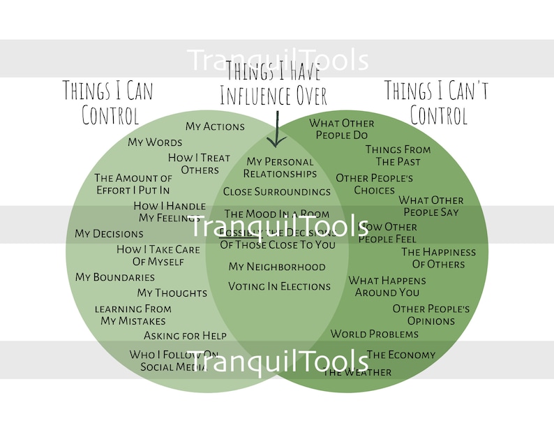 Circle of Control Handout & Worksheet, Mental Health, Therapy ...