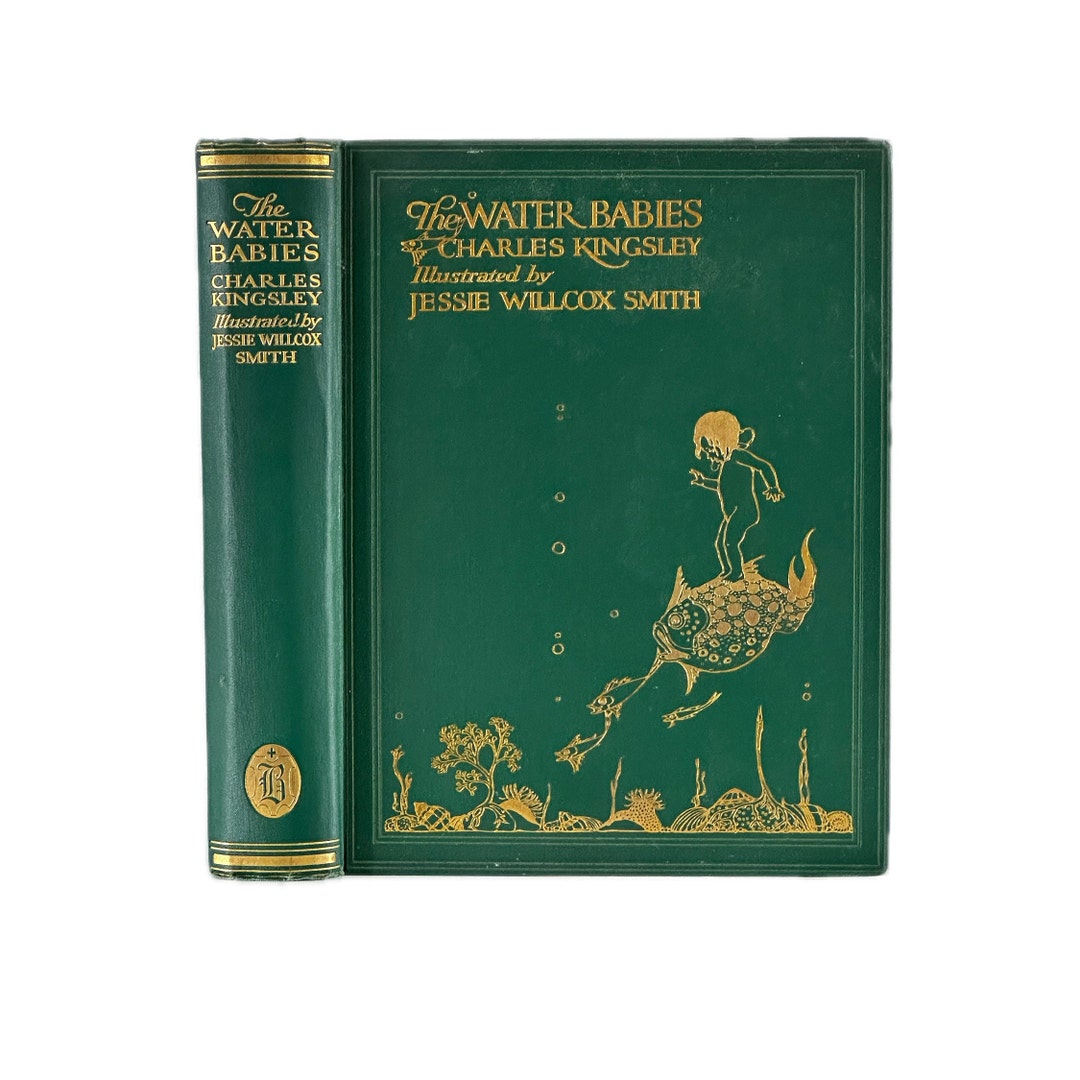 The Water Babies by Charles Kingsley. Illustrated by Jessie Willcox ...