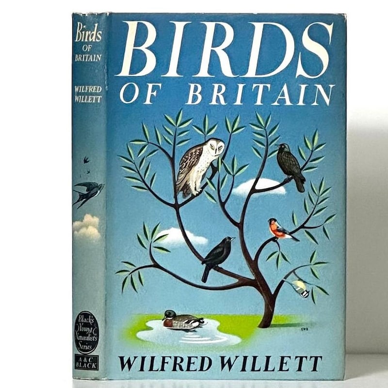 Book on Birds 1970 - Etsy UK