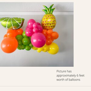 Summer Birthday Party, Fruity Balloon Garland Kit, Custom Balloon Arch ...