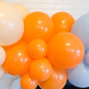 Bluey Birthday Party Decorations, Balloon Garland Backdrop, Balloon ...