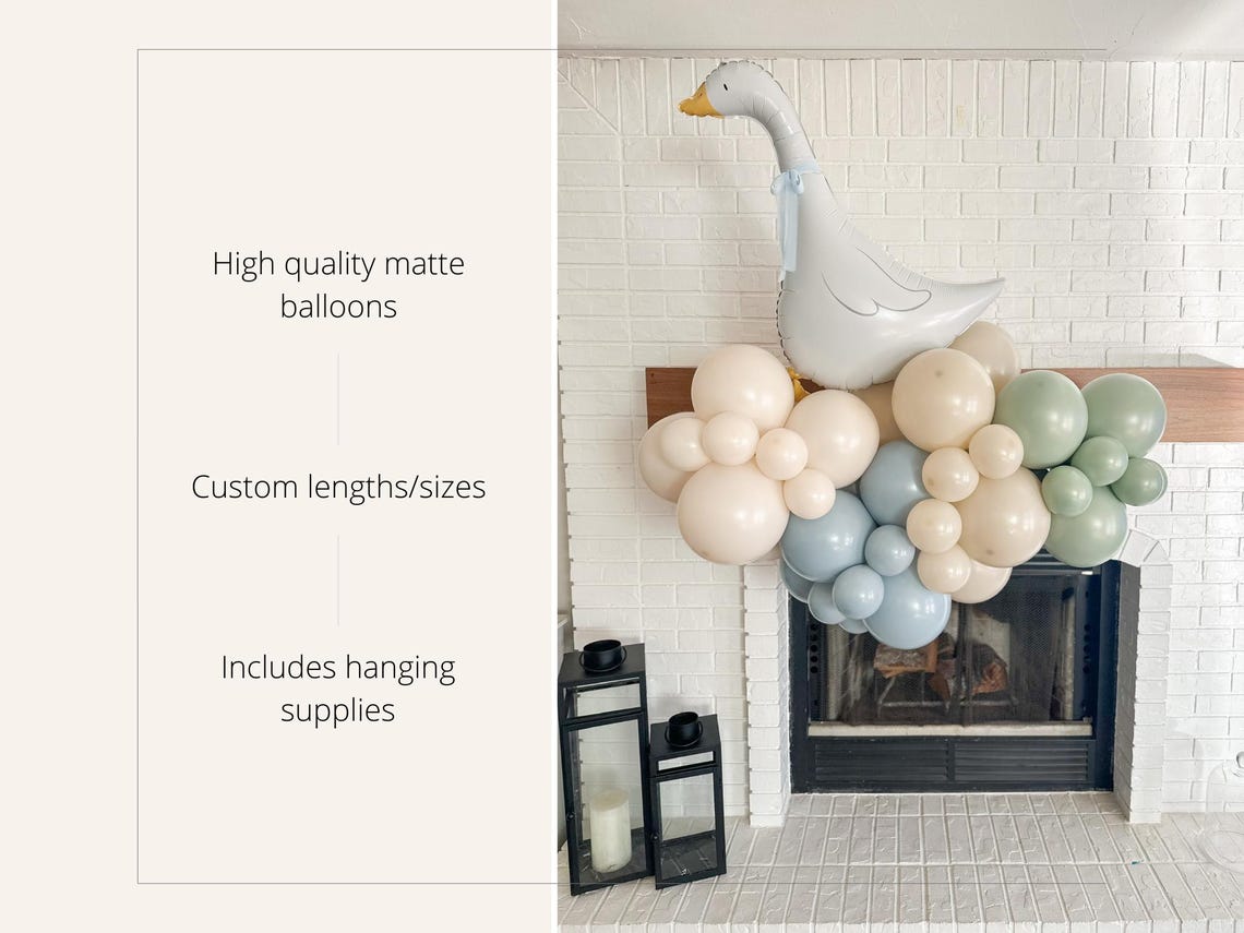 One Silly Goose Birthday Balloon Decorations, Two Silly Birthday ...