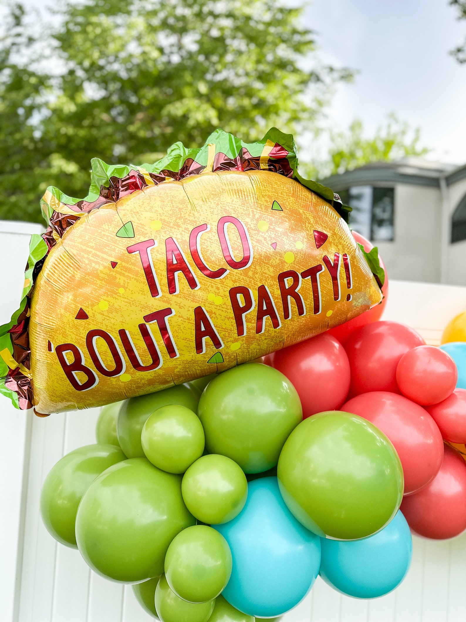 Dragons Love Tacos Birthday Party Decorations, Fiesta Balloons, Taco ...