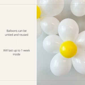 Daisy Balloons, Daisy Party Balloon Arch Kit, Birthday Party ...