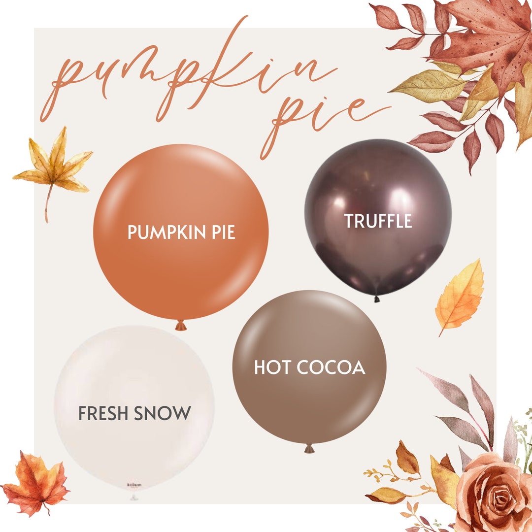 Fall Matte Balloon Arch Kit, Rustic Colors, Baby Shower Decorations - Etsy