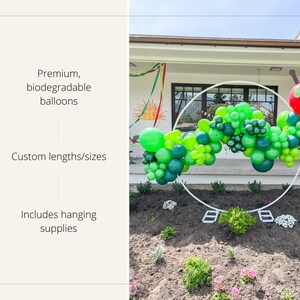 Very Hungry Caterpillar Balloon Kit, Eric Carle Balloon Arch, First ...