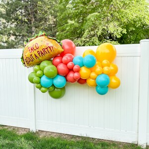 Dragons Love Tacos Birthday Party Decorations, Fiesta Balloons, Taco ...