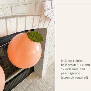 Peach Theme First Birthday Decorations, One Sweet Peach Balloon Garland ...