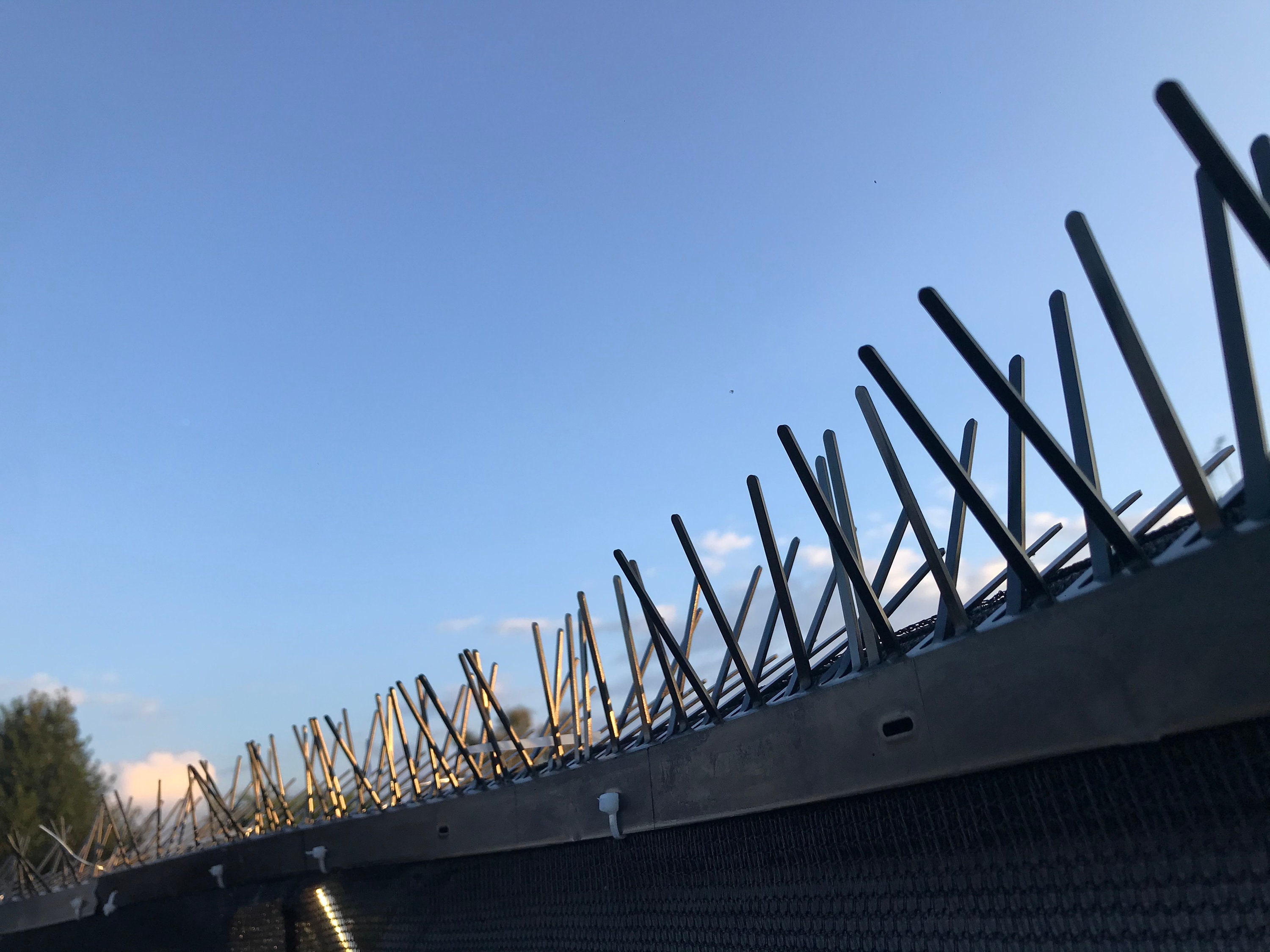 Easy Fix Stop Birds Landing on Trampolines & Fences....be Bird Poop ...