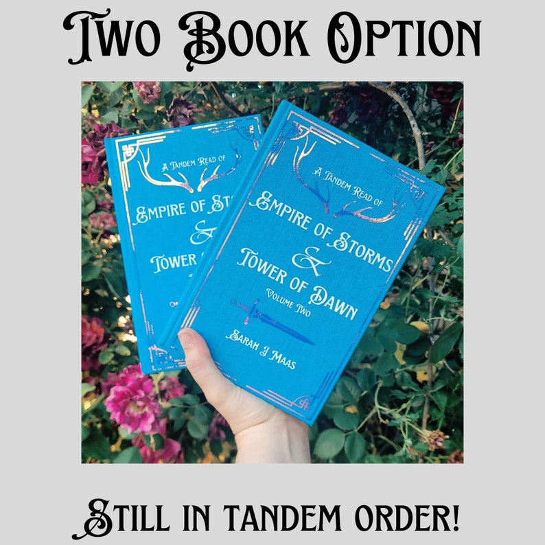 Tandem Read Rebound Book: Empire of Storms & Tower of Dawn - Etsy