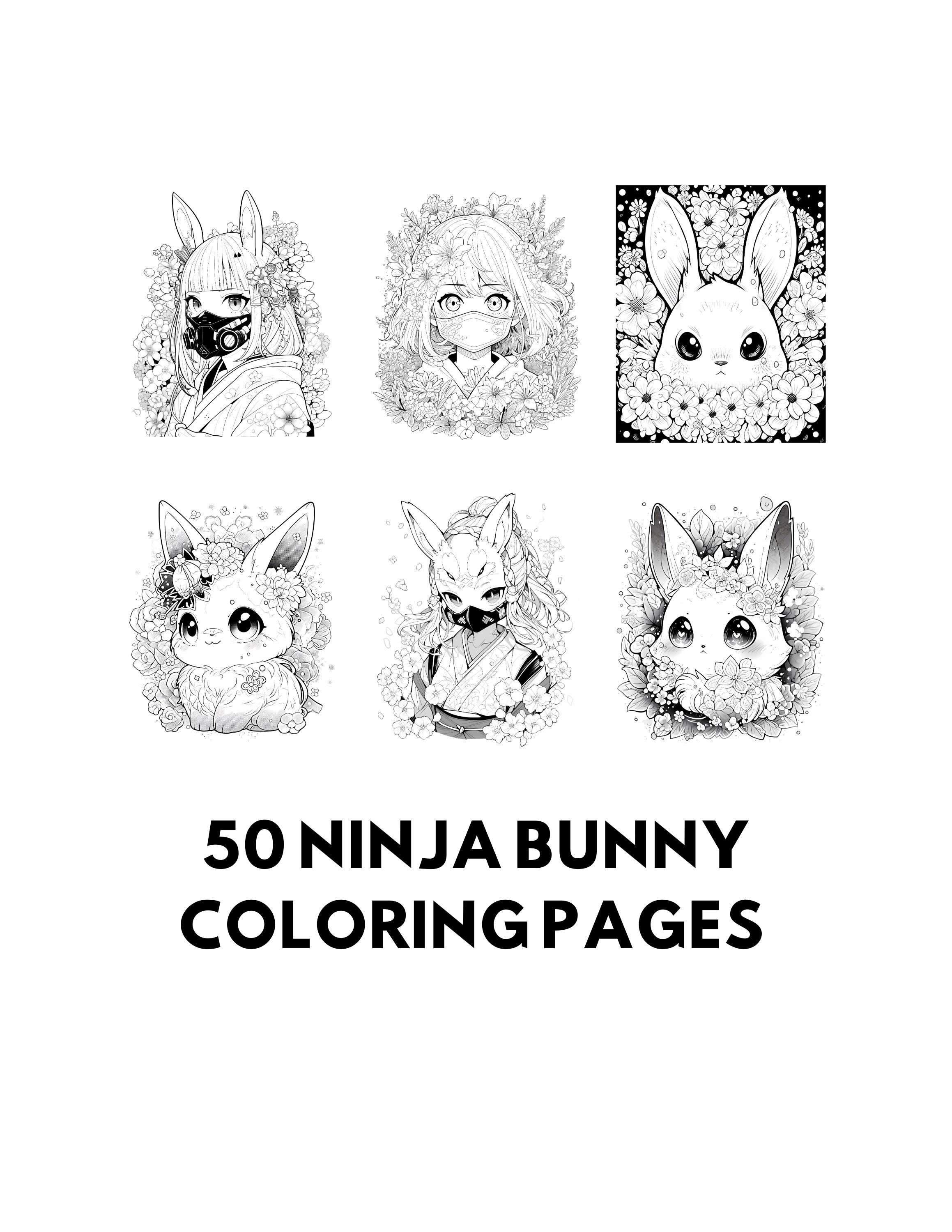 Moonlit Shadows: Ninja Bunny Digital Coloring Book - Etsy