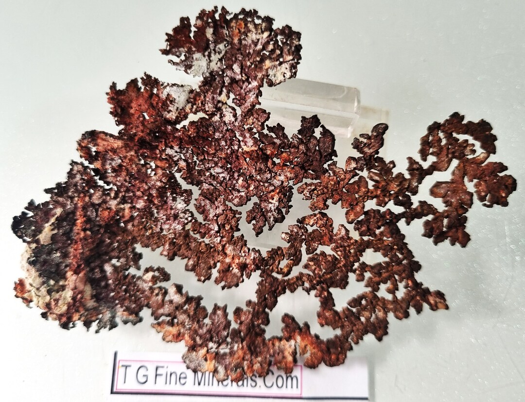 Native Copper. Flat Spinal Twinned Dendritic Piece White Pine Mine ...