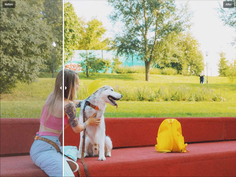 25 Color Pop Luts for Color Grading Video and Photo HDR | Etsy