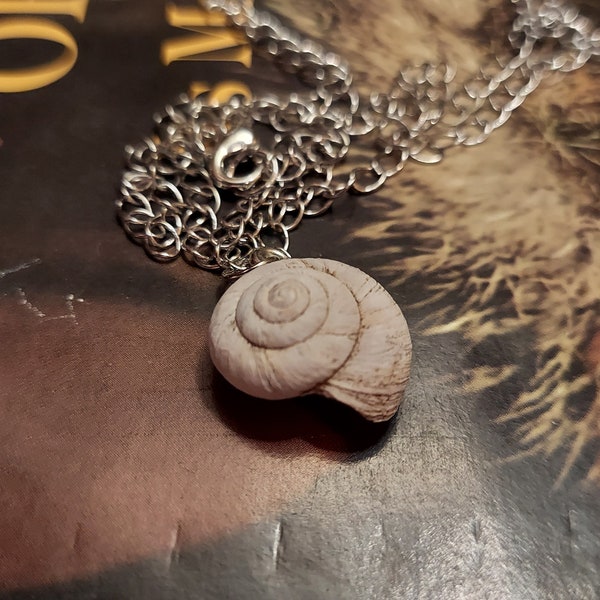 Shell Necklace - Etsy