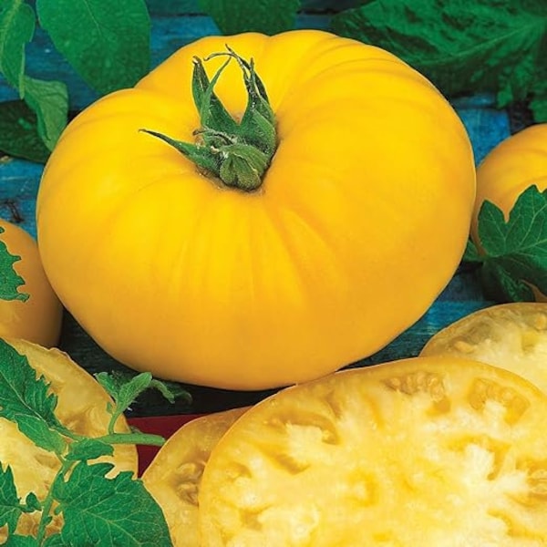 Yellow Tomatoes - Etsy