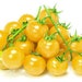 Snow White Cherry Tomato 20 Seeds Organic Low Acidic Plant Seeds in ...