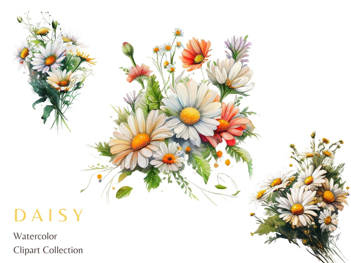 Watercolor Daisy Clip Art Cute and Simple Floral Graphics for Digital ...