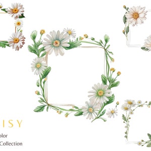 Watercolor Daisy Clip Art Cute and Simple Floral Graphics for Digital ...
