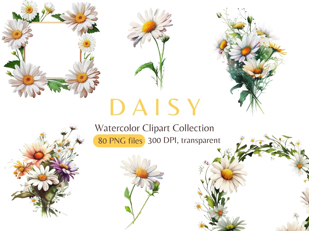 Watercolor Daisy Clip Art Cute and Simple Floral Graphics for Digital ...